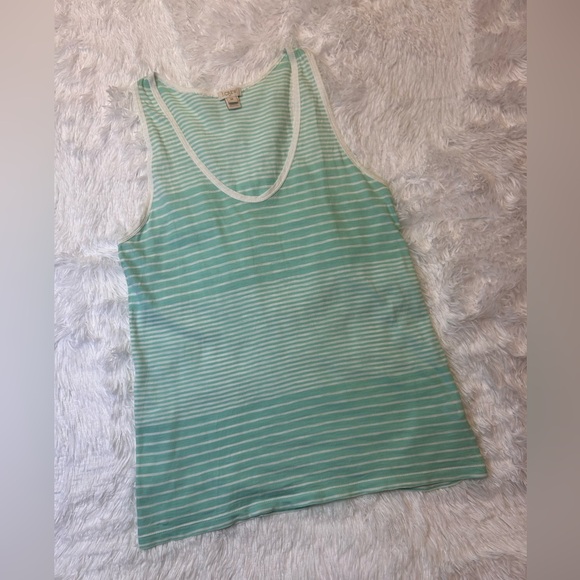 J. Crew | Tops | J Crew Mint Green And White Stripped Tank Medium A7 ...